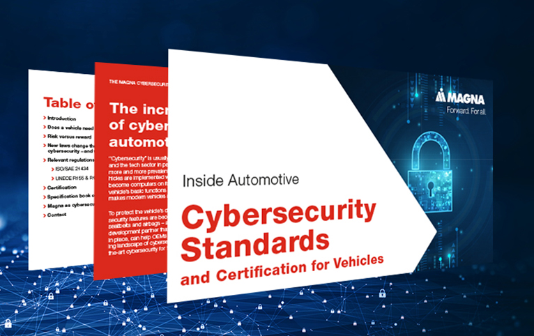 Your Guide about Cybersecurity Standards | Magna